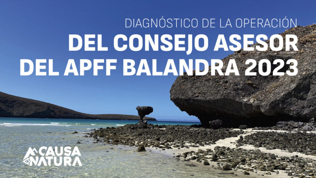 Turistificación en Balandra: Retos y oportunidades para una gobernanza ...